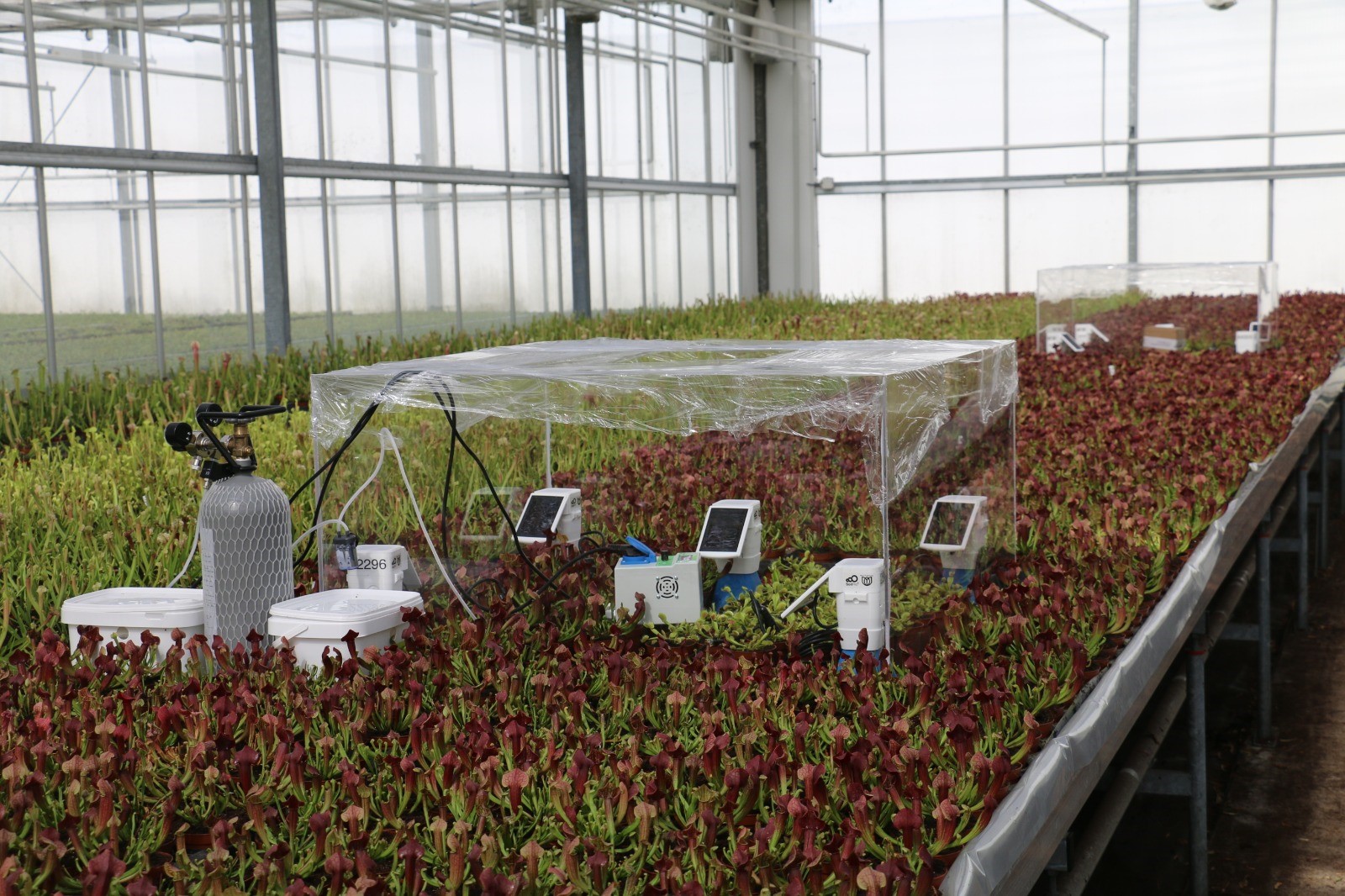 Case: Sigrow - Thingsdata.com